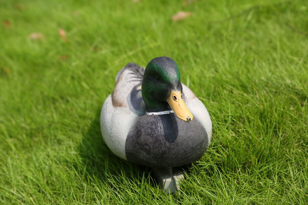 Unique Design Wild Hunting Duck Shaped Target Animals Target for ...